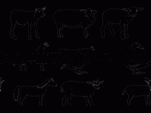 2d animals • Designs CAD