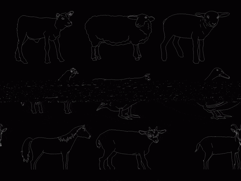 2d animals • Designs CAD