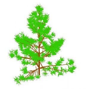 Sugar Maple Tree 3D DWG Model for AutoCAD • Designs CAD