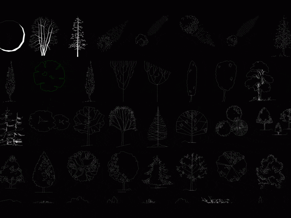 Trees and Shrubs 2D DWG Detail for AutoCAD • Designs CAD
