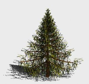 Coniferous Tree 3D DWG Model for AutoCAD • Designs CAD