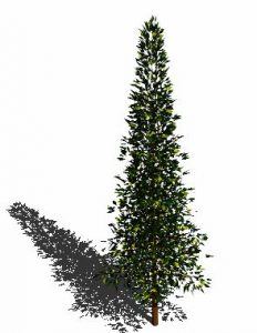 Lawson Cypress Tree 3D DWG Model for AutoCAD • Designs CAD