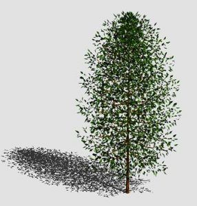 Coniferous Tree 3D DWG Model for AutoCAD • Designs CAD