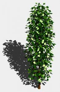 Coniferous Tree 3D DWG Model for AutoCAD • Designs CAD