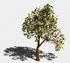 Green Maple Tree 3D DWG Model for AutoCAD • Designs CAD