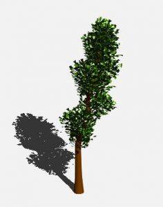 Coniferous Tree 3D DWG Model for AutoCAD • Designs CAD