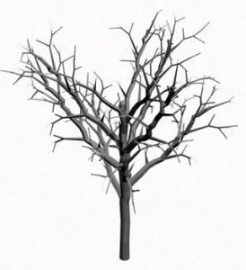 Dry Tree 3D 3DS Model for 3D Studio Max • Designs CAD