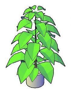 Ficus Plant 3D DWG Model for AutoCAD • Designs CAD