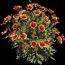 Flowers Plant - Picture For Renders 2D BMP Graphics Graphics • Designs CAD