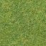 Grass - Lawn Texture 2D BMP Graphics Graphics • Designs CAD