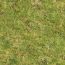Lawn Texture 2D BMP Graphics Graphics • Designs CAD