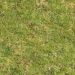 Lawn Texture 2D BMP Graphics Graphics • Designs CAD
