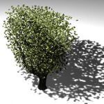 Tree 3D MAX Detail for 3D Studio Max • Designs CAD