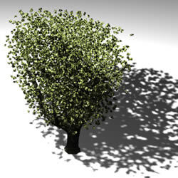 Oak Tree 3D MAX Model for 3D Studio Max • Designs CAD