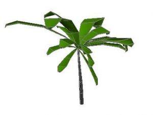 Coconut Palm Tree 3D DWG Model for AutoCAD • Designs CAD