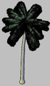 Coconut Palm Tree 3D DWG Model for AutoCAD • Designs CAD