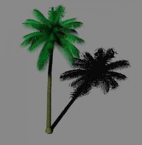 Coconut Palm Tree 3D DWG Model for AutoCAD • Designs CAD