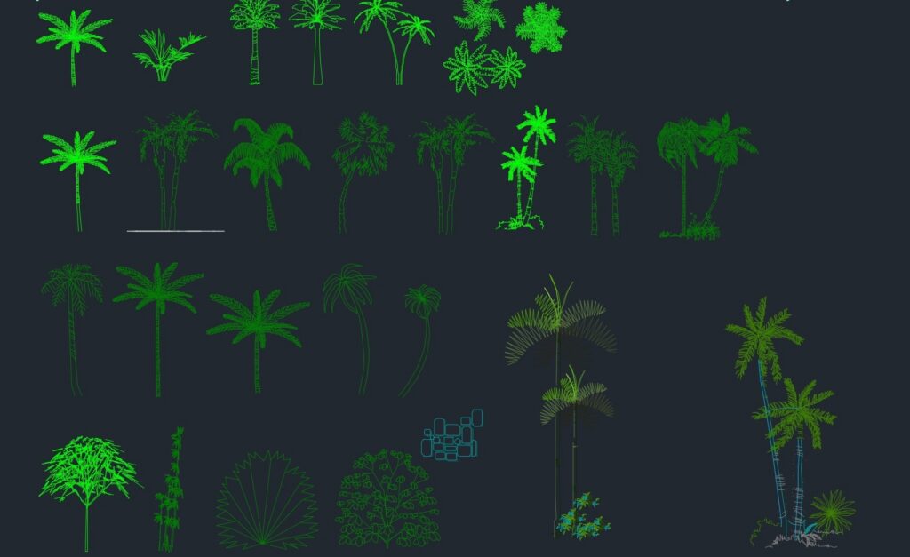 Palm Tree Cad Block 2D DWG Elevation for AutoCAD | Designs CAD