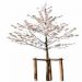 Tree 2D BMP Graphics Graphics • Designs CAD