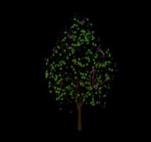 Quaking Aspen Tree 3D DWG Model for AutoCAD • Designs CAD