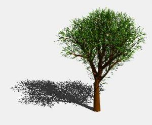 OliveTree 3D DWG Model for AutoCAD • Designs CAD