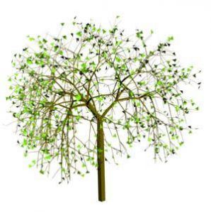 Tree 3D DWG Model for AutoCAD • Designs CAD