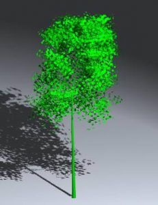 Silver Birch Tree 3D DWG Model for AutoCAD • Designs CAD