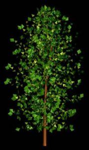 Tree 3D MAX Model for 3D Studio Max • Designs CAD