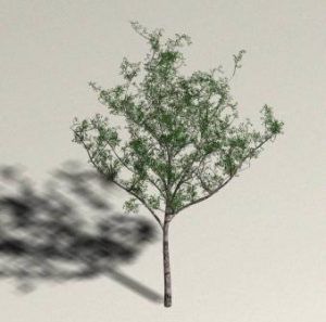 Tree 3D MAX Model for 3D Studio Max • Designs CAD