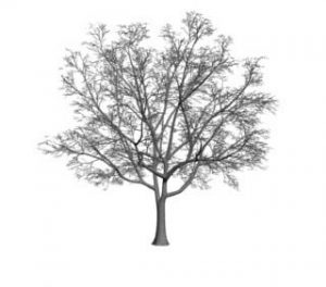 Tree 3D MAX Model for 3D Studio Max • Designs CAD