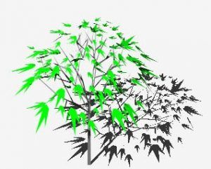 Sugar Maple Tree 3D DWG Model for AutoCAD • Designs CAD