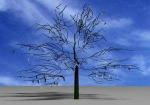 - Tree - Without Foliage 3D 3DS Model for 3D Studio Max • Designs CAD