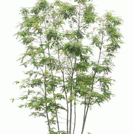 Blocks & Models Archives • Page 639 of 4993 • Designs CAD