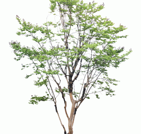 Blocks & Models Archives • Page 644 of 4999 • Designs CAD