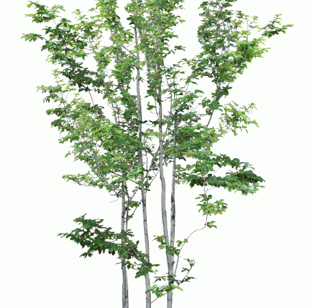 Blocks & Models Archives • Page 638 of 4993 • Designs CAD