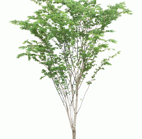 Blocks & Models Archives • Page 635 of 4993 • Designs CAD