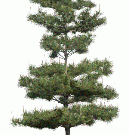 Blocks & Models Archives • Page 630 of 4989 • Designs CAD