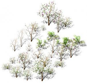 Trees 3D DWG Model for AutoCAD • Designs CAD