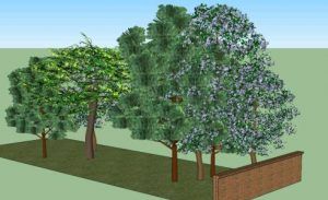 Trees 3D SKP Model for SketchUp • Designs CAD