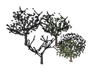 Trees - Autocad 3D DWG Model for AutoCAD • Designs CAD