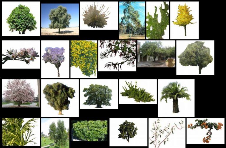 Trees For Landscaping 2D BMP Graphics Graphics • Designs CAD