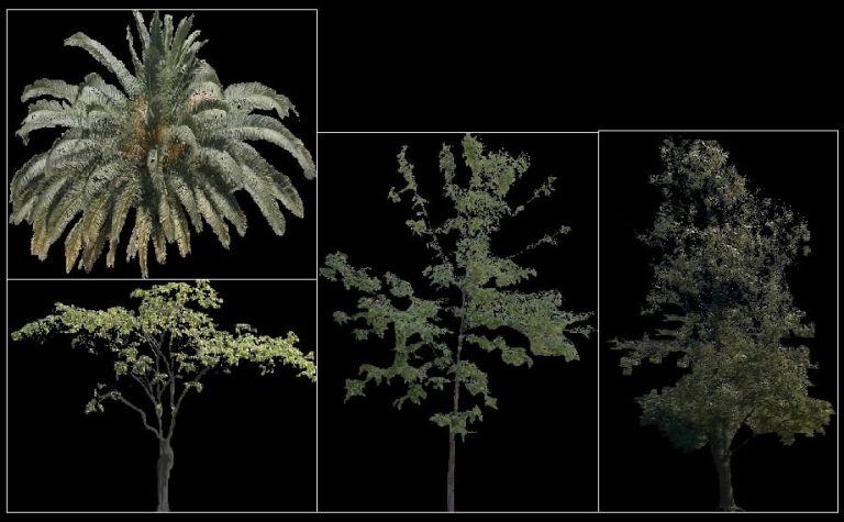 Trees Images 2D BMP Graphics Graphics • Designs CAD