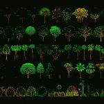 Bonsai Tree In Pot Decoration Plants In Vase Elevation 2D DWG Block For ...