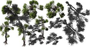 Trees In View Of Birds 2D BMP Graphics Graphics • Designs CAD