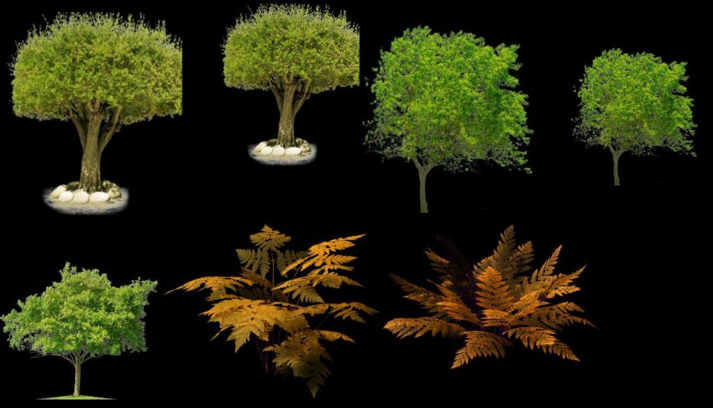 Trees Png DWG Block for AutoCAD • Designs CAD