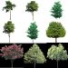 Trees Renders Picture 2D BMP Graphics Graphics • Designs CAD