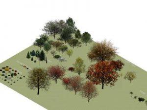 Vegetation 3D RVT Model for Revit • Designs CAD