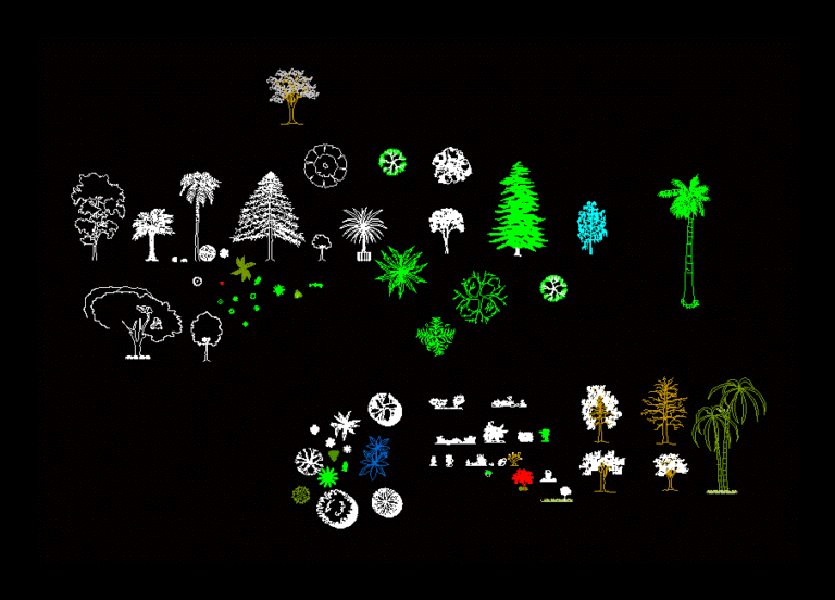 Deodendron; Trees And Shrubs PDF Detail (Document) | DesignsCAD