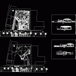 Coconut Palm Tree Plant Front View Elevation And Top View Plan 2D DWG ...