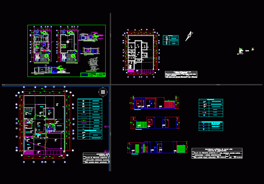 Executive Room Flat Of A House Of A Plant DWG Plan for AutoCAD ...